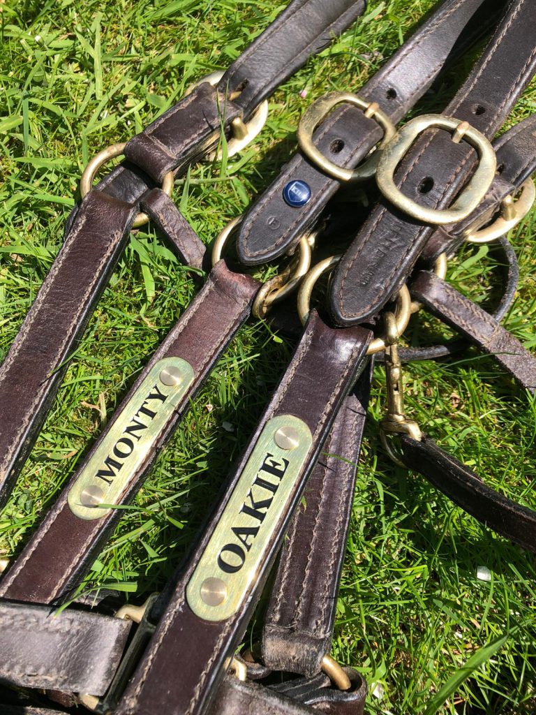 Premium leather headcollar with engraved nameplate